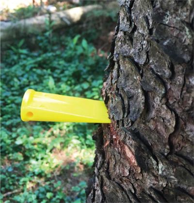 Forester® Mini Wedge