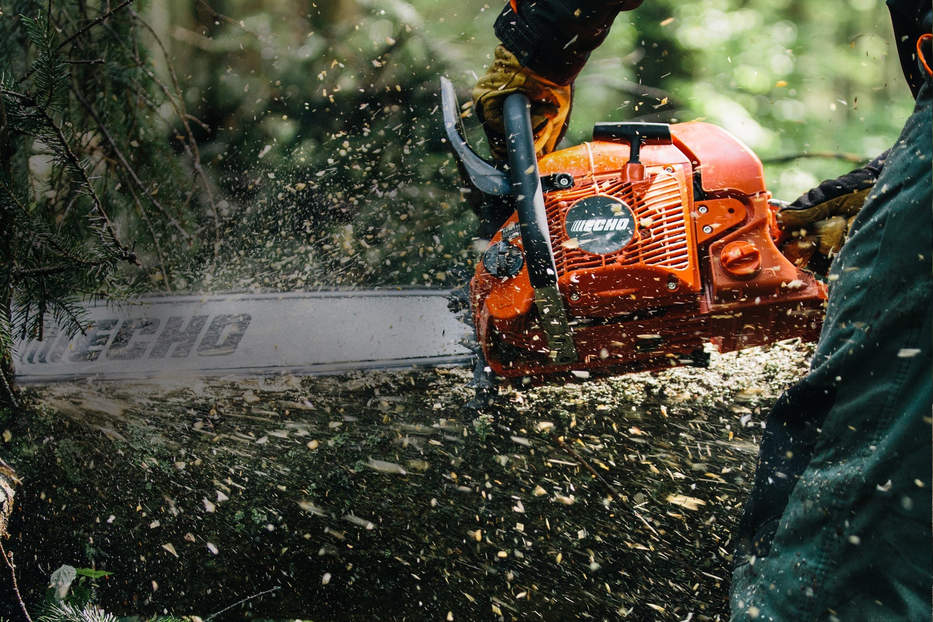 Western Tree Equipment & Repairs | Arborist + Tree Climbing Gear