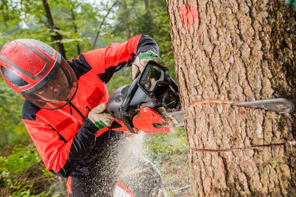 March Featured Products: Top Gear For Professional Arborists | Western ...
